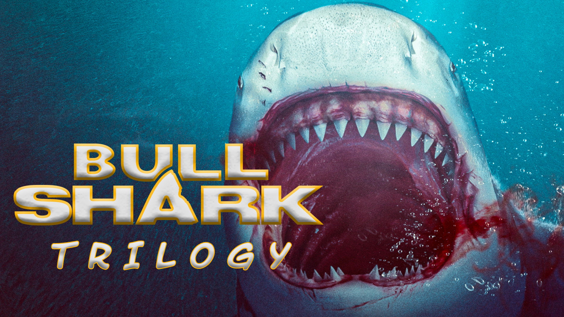 ︎ Bull Shark trilogy exclusively available in German this weekend on ...